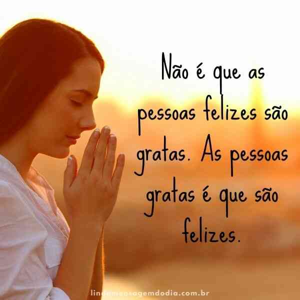 Frases de felicidade para animar o seu dia - Linda Mensagem Do Dia!